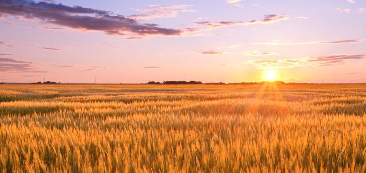 Home | The North Dakota Council of State Employees